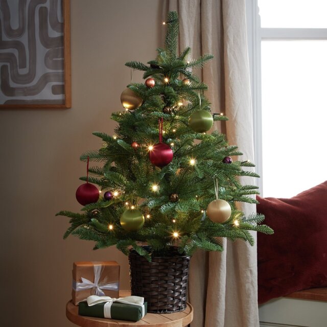 Habitat 3ft Premium Natural Look Small Christmas Tree by Argos ...