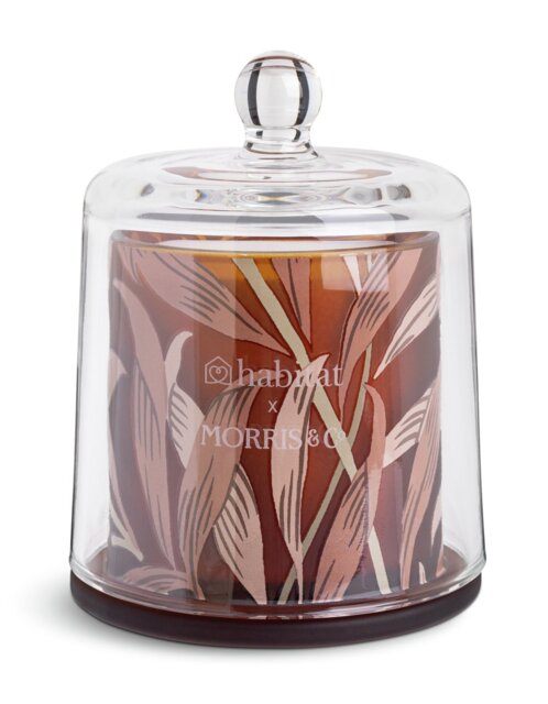 Habitat x Morris & Co. Oak & Fallen Acorn Small Glass Candle by Argos ...