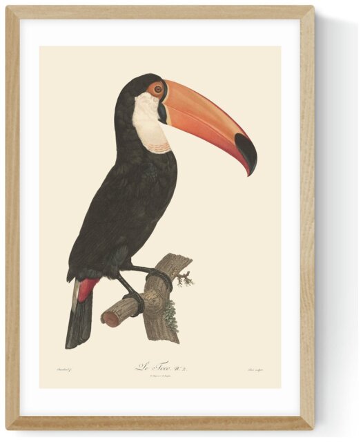 East End Prints Toucan Oak Frame Art Print - A3 by Argos | ufurnish.com