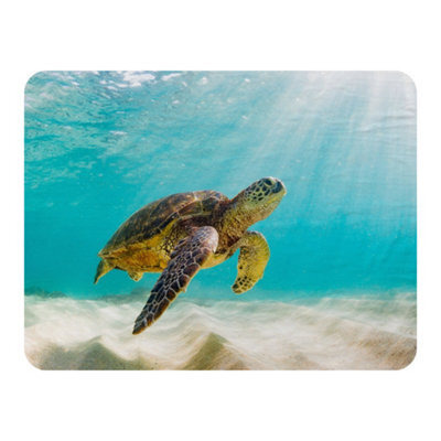 Andrew Lee Photo Of Sea Turtle In The Galapagos Island (Blanket ...