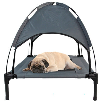 Actiaspet Grey Elevated Mesh Pet Bed With Canopy Medium by B&Q ...