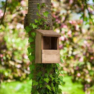 Marco Paul Hanging Robin Nesting Box - Small Birds by B&Q | ufurnish.com