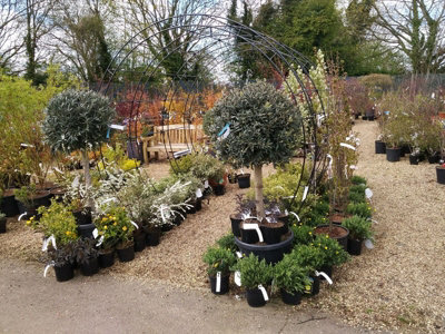 Poppy Forge Round Tunnel Arch (Including Ground Spikes) Steel Garden ...