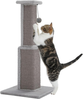 Pawz Road Large Cat Scratching Post 32 Inch Tall Scratching Post For ...
