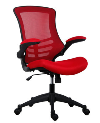 Rainbow Zebra Red Mesh Office Chair With Black Base And Folding ...