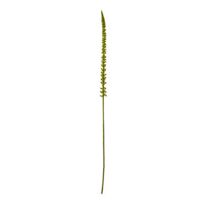 Hill Interiors Eremurus Stem Artificial Plant Green (One Size) by B&Q ...