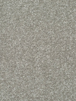 Devotion Gold Bleach Cleanable Carpet By Remland (Storm, 2M X 4M) by B ...