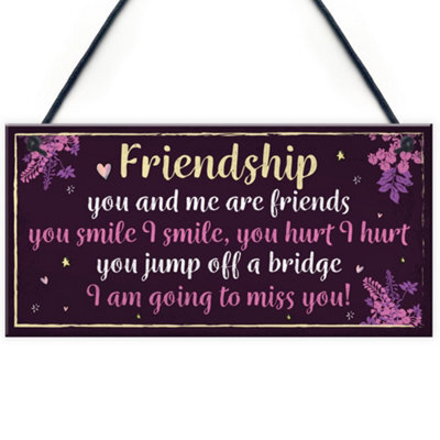 Red Ocean Funny Friendship Sign Hanging Friend Plaque Birthday ...