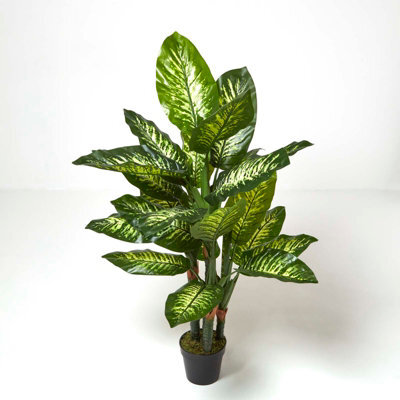 Homescapes Dieffenbachia Dumb Cane Plant In Pot, 150 Cm Tall by B&Q ...