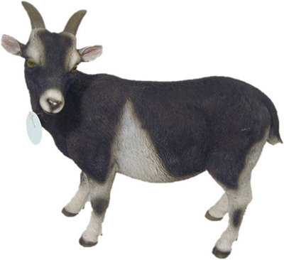 Vivid Arts Real Life Goat Garden Ornament - Size D by B&Q | ufurnish.com