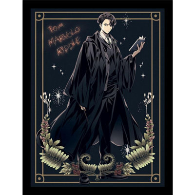 Harry Potter: Wizard Dynasty Tom Marvolo Riddle Framed Poster Multicoloured (40Cm X 30Cm) by B&Q ...