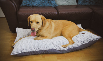 Snug & Cosy Pets Snug And Cosy Novara Grey Lounger 90Cm X 60Cm by B&Q ...