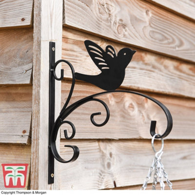 Thompson & Morgan King Swallow Garden Bracket Black Decorative Sturdy ...