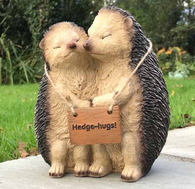 Animal Crackers Holly & Harry Hugging Hedgehogs With Removable Hedge ...