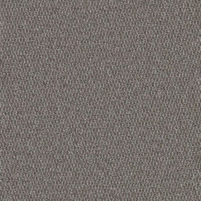 Furlong Flooring Gobi Budget Loop Carpet (Lynx, 3M X 4M) by B&Q ...