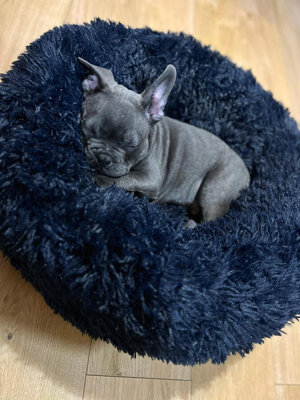 Snug & Cosy Pets Snug And Cosy Anti- Anxiety Donut Puppy Dog Bed ...