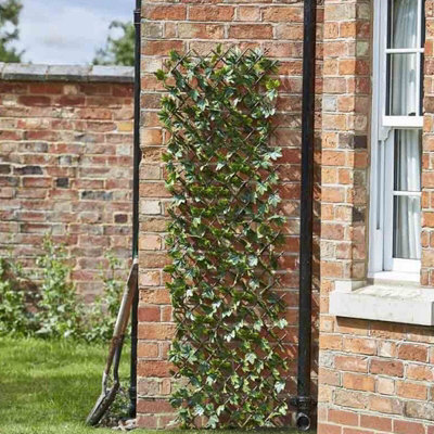 Smart Garden 90Cm X 180Cm Expanding Maple Leaf Trellis Wheelie Bin ...