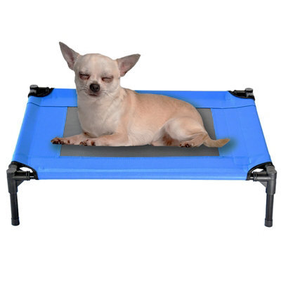 Actiaspet Blue Elevated Mesh Pet Bed Small by B&Q | ufurnish.com