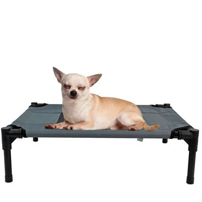 Actiaspet Grey Elevated Mesh Pet Bed Small by B&Q | ufurnish.com