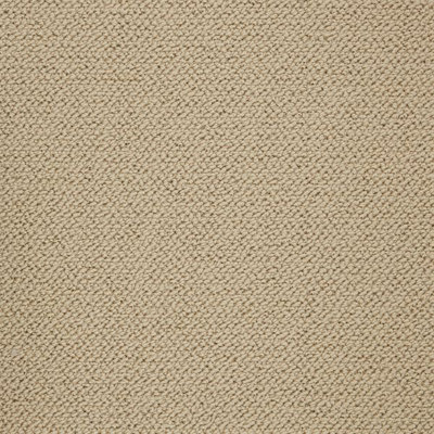 Furlong Flooring Sustainable Luxury Loop Carpet (Morganite, 3M X 4M) by ...