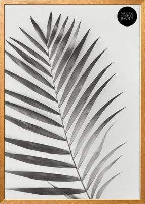 Photo Frames & Art Pf&a Winchester Wood Oak A2 Poster Frame by B&Q ...