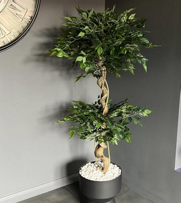Leaf Artificial Japanese Fruticosa Tree Twisted Ficus 150Cm Uk by B&Q ...