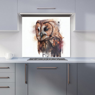 Warren Reed Designer Tawny Owl Face Splashart Light Background Premium ...