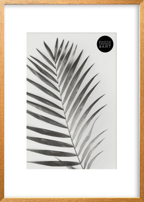 Photo Frames & Art Pf&a Winchester Wood Oak A2 Frame For A3 Print by B ...
