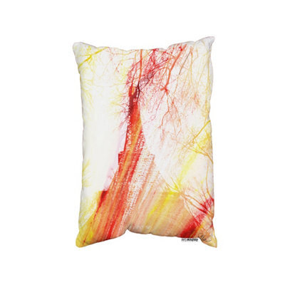 Andrew Lee Cushions - Fury (Cushion) / 45Cm X 30Cm by B&Q | ufurnish.com
