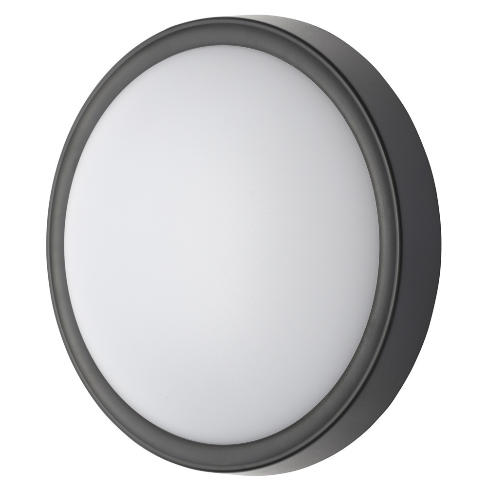 Orkney Outdoor LED Circular Wall Light, Black by BHS | ufurnish.com