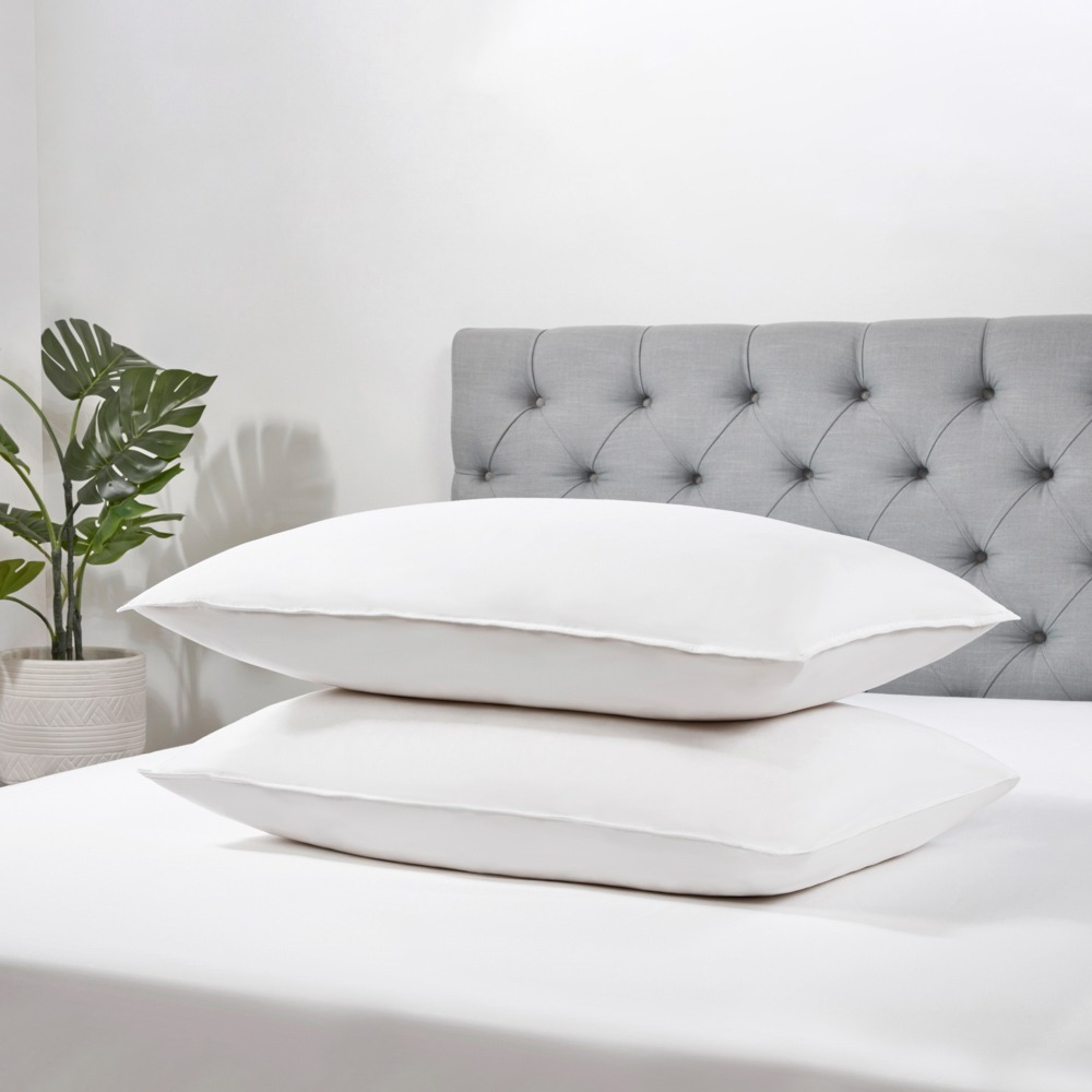 All Natural Duck Feather & Down Pillows, Pair by BHS | ufurnish.com