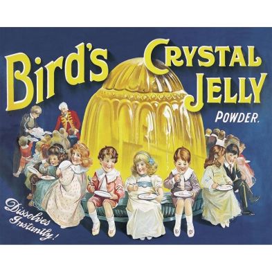 Vintage Bird's Crystal Jelly Sign Metal Wall Mounted - 42cm by Cherry ...