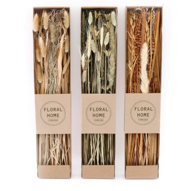 Set of 3 Dried Grasses in Display Box by Cherry Lane Garden Centres ...