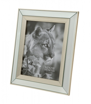 Mindy Brownes Ava Champagne 8 x 10 Photo Frame (Set of 4) by Choice ...