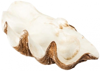 Extra Large Clam Shell Decorative Bowl by Choice Furniture Superstore ...