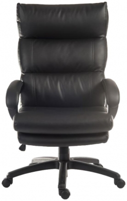 Teknik Luxe Black Leather Executive Chair by Choice Furniture ...