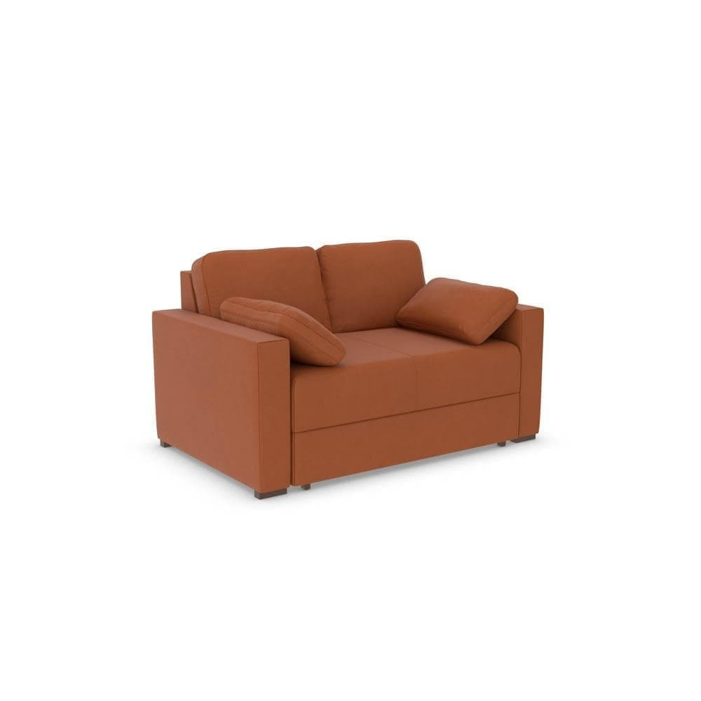 Charlotte Two-Seater Sofa Bed - Foxy by Cocoon | ufurnish.com