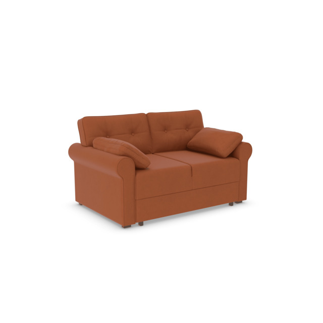Delanie Two-Seater Sofa Bed - Foxy by Cocoon | uFurnish.com