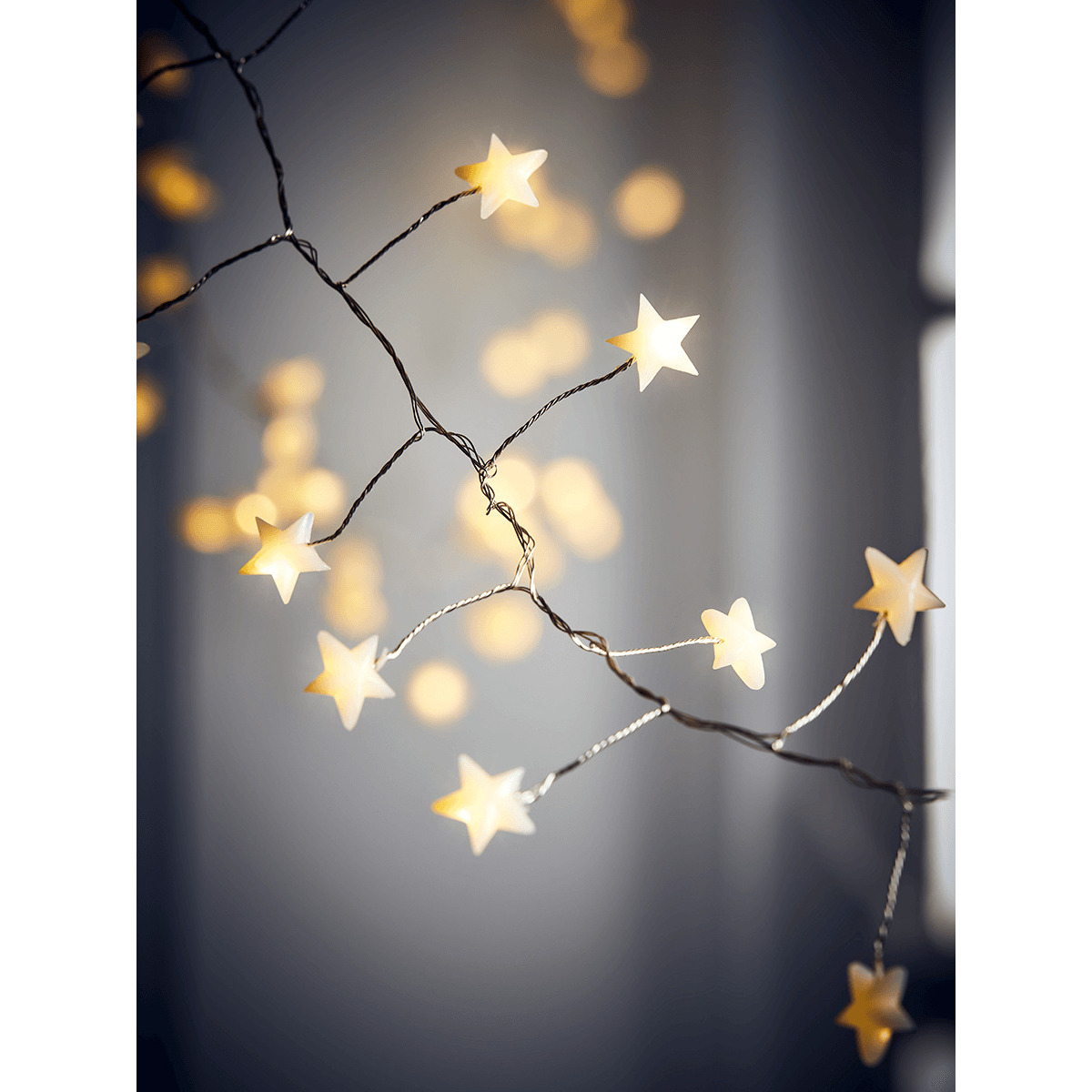 Indoor Outdoor Star Tipped Cluster String Lights by Cox & Cox ...