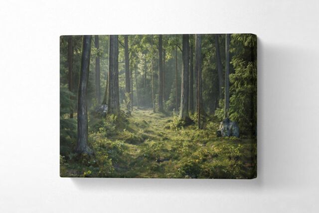 Old Forest Greenery Canvas Print by Debenhams | ufurnish.com