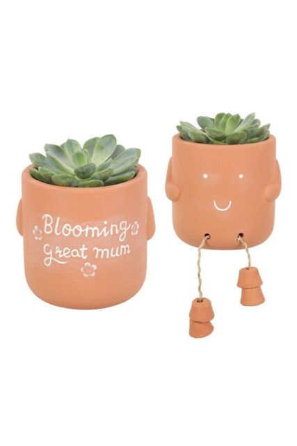 Blooming Great Mum Sitting Plant Pot Pal by Debenhams | ufurnish.com