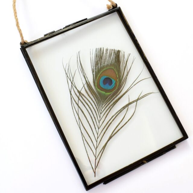 Real Peacock feather Floating Picture Frame. Spiritual Gift by ...