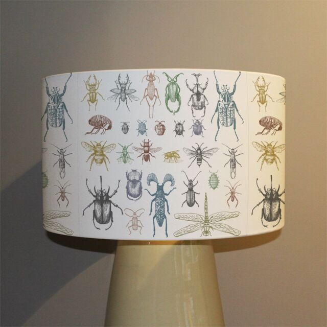 big set of insects bugs beetles and bees many species in vintage old ...