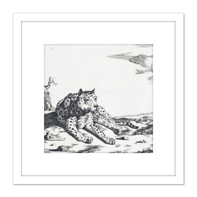 Bye Potter Lying Leopard From Front Big Cat Etching 8X8 Inch Square ...