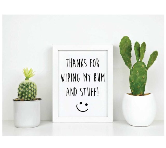 Thanks For Wiping My Bum Inspirational Quote in Frame by Debenhams ...