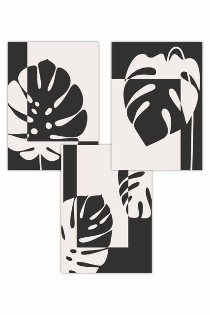 ARTZE Set of 3 Mid Century Monstera in Black & Ivory Art Posters in ...