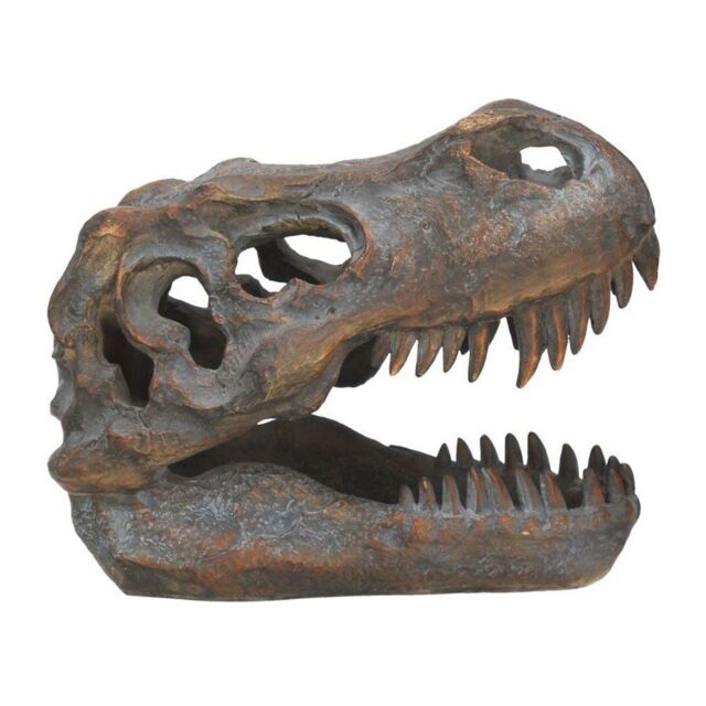 T-Rex Skull Tabletop Decor by Debenhams | ufurnish.com