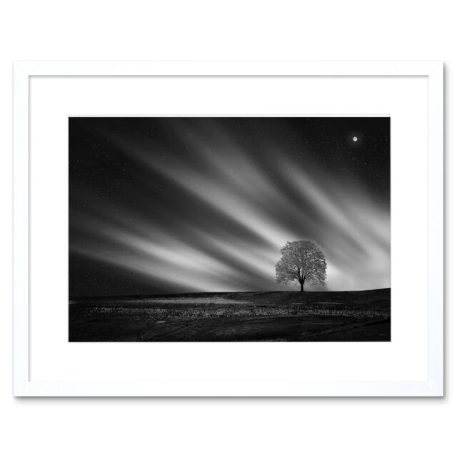 "Artery8 Wall Art Print Lone Tree Landscape Aurora Black White Framed ...
