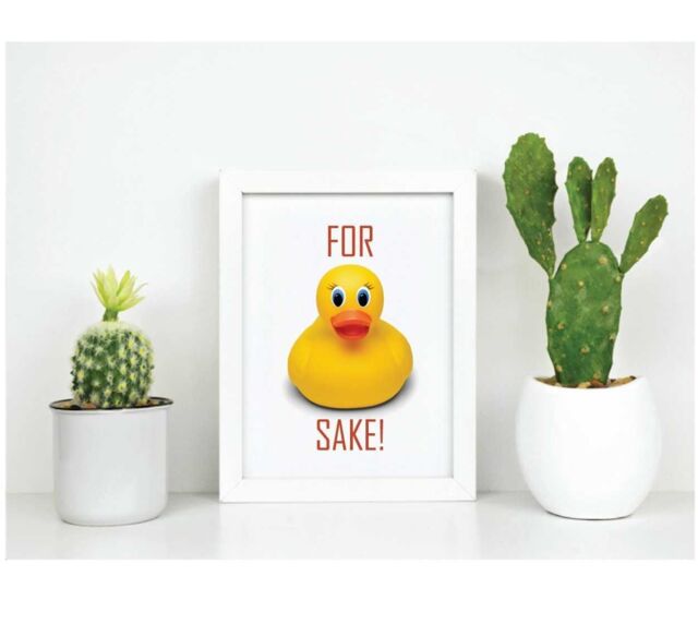 For Duck Sake Inspirational Quote in Frame by Debenhams | ufurnish.com