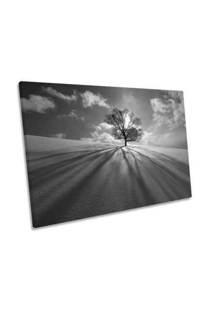 "CanvasGeeks Tree Shadow Winter Snow Canvas Wall Art Picture Print in ...